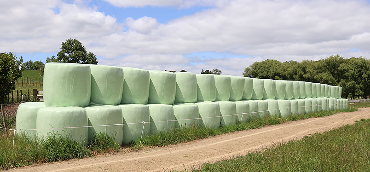 Silage Film Storage & Handling: Avoiding Common Mistakes | Donaghys Crop
